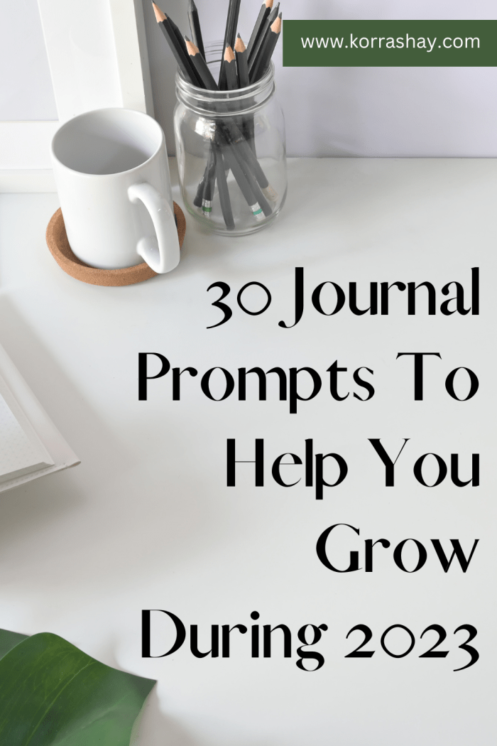 30 Journal Prompts To Help You Grow During 2023 – KorraShay.com